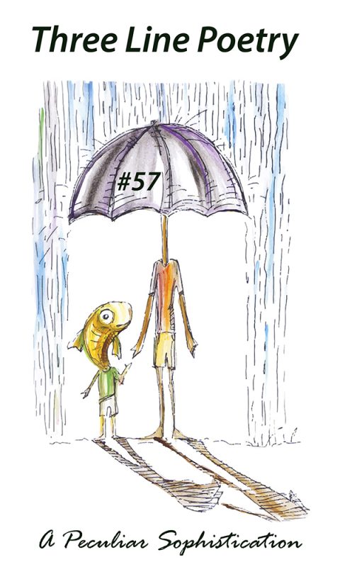 Three Line Poetry #57 | Prolific Press Inc.